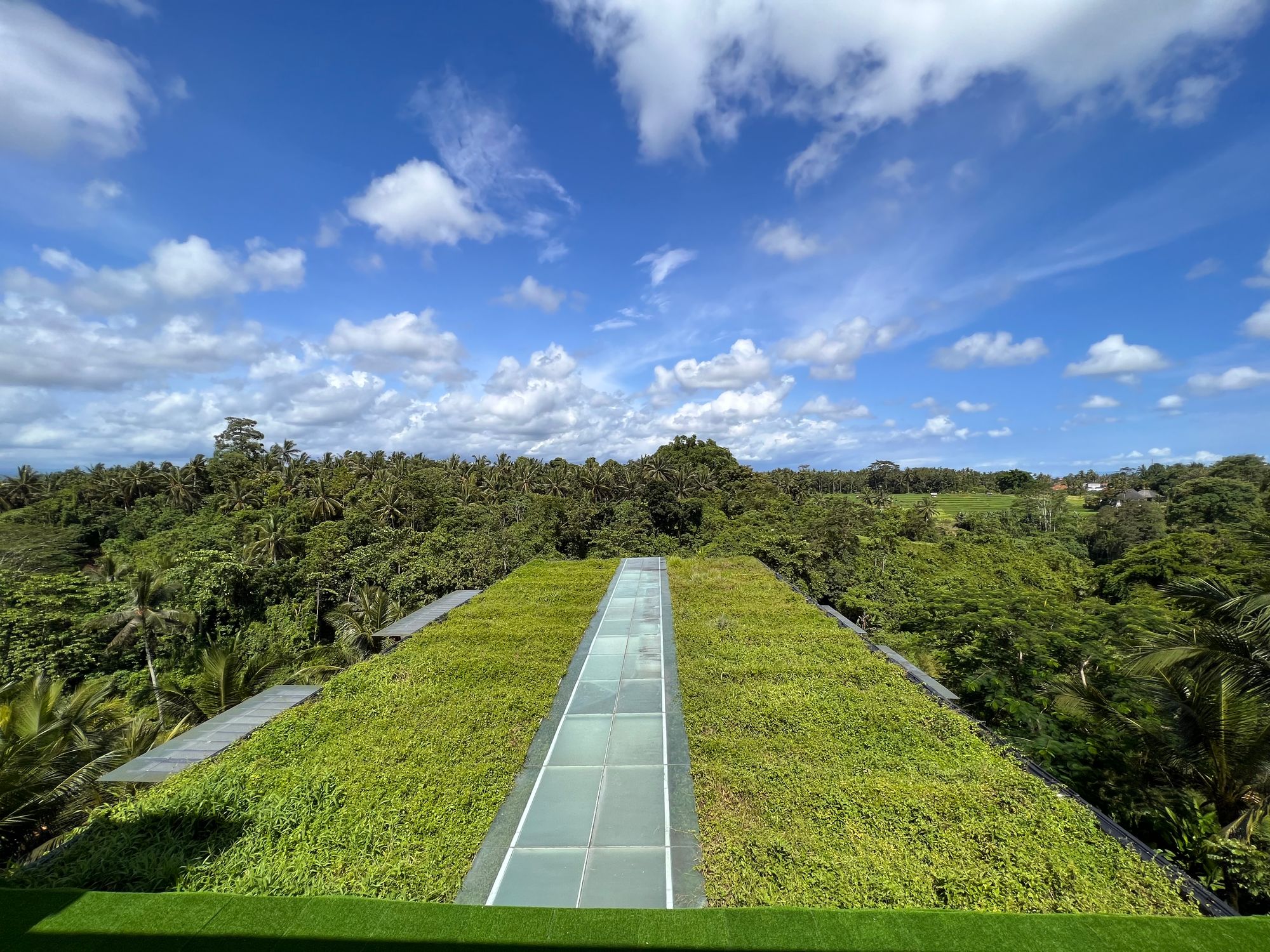 Hotel Review - Westin Resort Ubud Bali